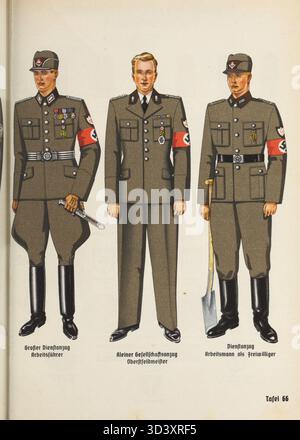 Illustration from the *Organisationsbuch der NSDAP* (1943), showing ...