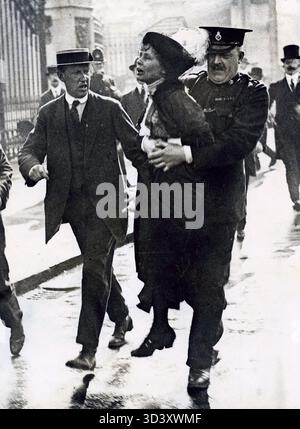 Suffragette at Buckingham Palace Stock Photo - Alamy
