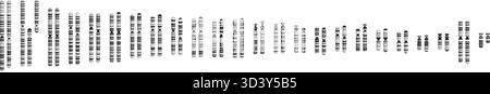 Comparison of Human and Chimpanzee Karyotypes: similarities and ...