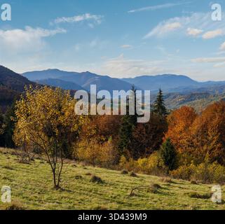 Autumn morning Carpathian Mountains calm picturesque scene, Ukraine ...