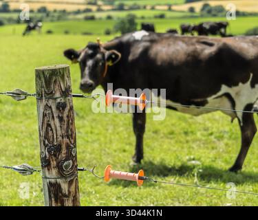 An insulator on a fence post has an electric wire running through it ...