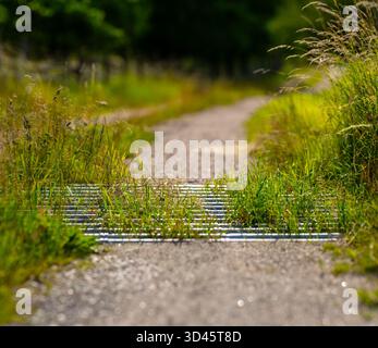 White SUV on,Red Gravel Road, Stirling Range National Park, Western ...