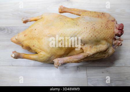 Raw duck prepared for cooking with fresh vegetables, herbs, and spices ...