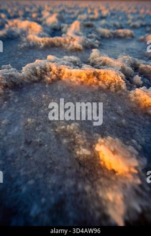A close-up of salt crystallized on the sand on the ground, desert ...