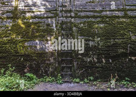One of the bunkers in Mamerki (German: Mauerwald) bunker complex ...