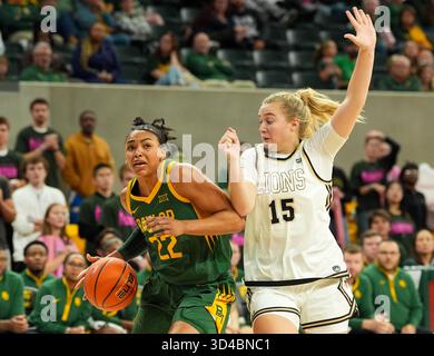 November 15, 2025 Baylor Bears quarterback Sawyer Robertson (13) drops ...
