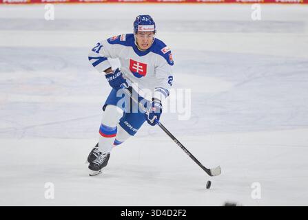 Sebastian Cederle of Slovakia. during the match GERMANY, Slovakia ...