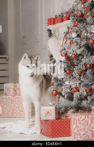Glowing Christmas tree with decor near light wall Stock Photo - Alamy