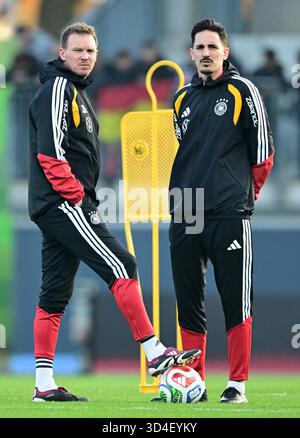 From left: Federal coach Julian Nagelsmann, assistant coach Benjamin ...