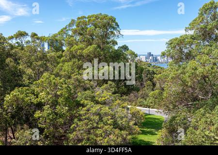 The view from the top of the 15 metre high DNA Tower commissioned in ...