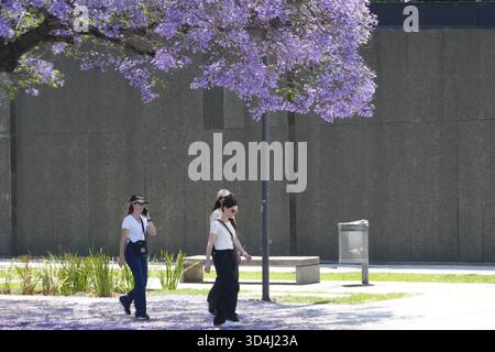 Buenos Aires, Argentina. 10th Nov, 2022. After a new failure in the ...