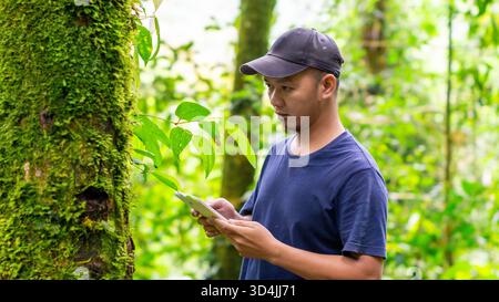 The farmer of Piper retrofractum (cabe jawa). Checking the plants on ...