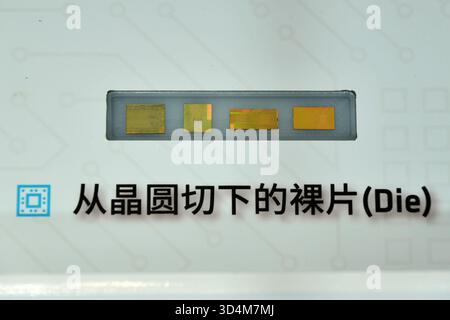 November 8, 2025, Shanghai, China: The AMD logo is displayed at the 8th ...