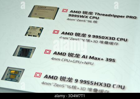 November 8, 2025, Shanghai, China: The AMD logo is presented at the 8th ...