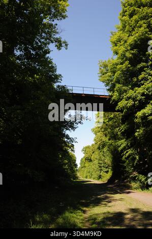 Forest path crossed by a metal bridge, typical of the industrial ...