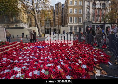 11 November 2025. Remembrance poppy wreaths at the Whitehall Cenotaph ...