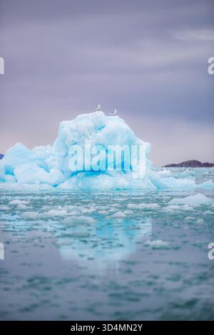 Svalbard cruise - Large ice block is floating in the ocean. The sky is ...
