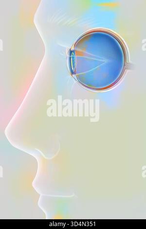 Anatomy of the eye on a male figure Stock Photo - Alamy