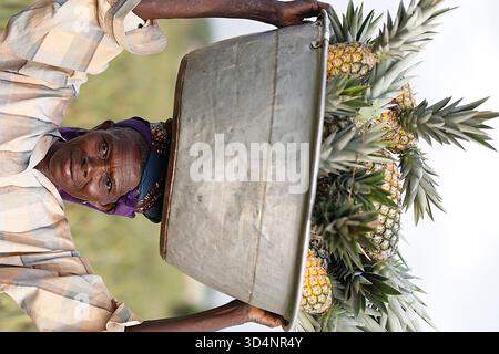 Pineapple picker in Allada, Benin Stock Photo - Alamy