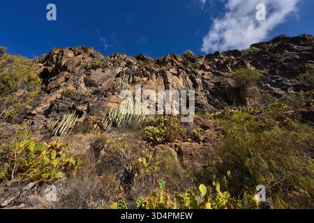 Layered volcanic rock formations with visible bands of tuff and basalt ...
