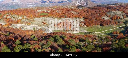 A winding road surrounded by colorful trees in autumn Stock Photo - Alamy