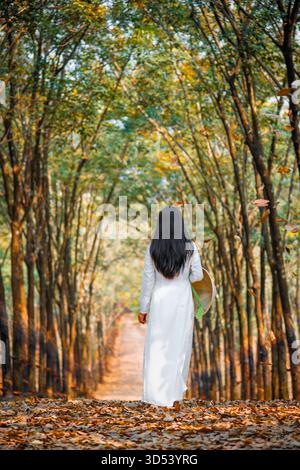 Deciduous trees with beautiful bright and colorful foliage in autumn ...