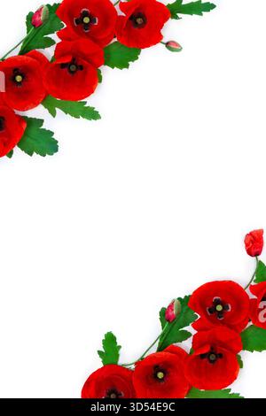 Anzac Day with red poppy flower background. Remembrance Day. National ...