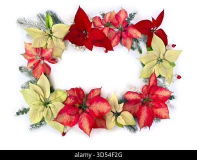 Top view of a Christmas wreath with poinsettia flowers isolated on a ...
