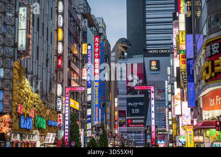 Godzilla Street in Kabukicho. Shinjuku district, Tokyo. Japan Stock ...