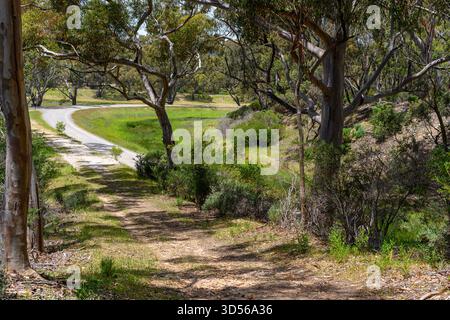 Daytime woodland and bushland scenery in Happy Valley Reserve, Adelaide ...