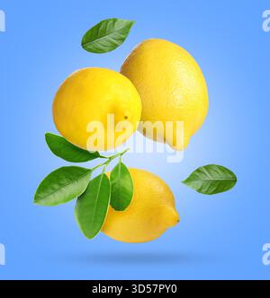 Fresh lemons and green leaves falling on white background Stock Photo ...