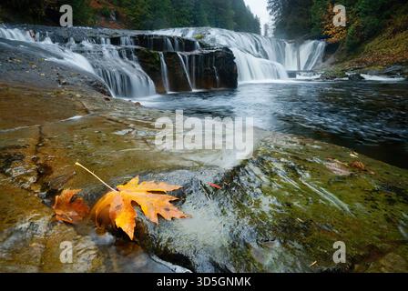 Middle Falls Waterfall Lewis River Falls Gifford Pinchot National ...
