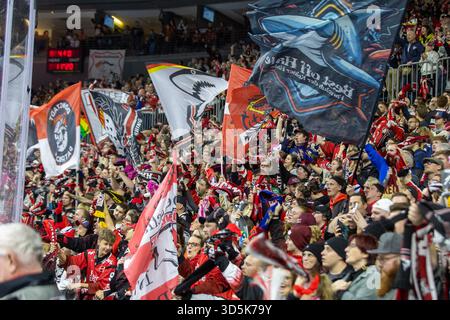 Fans [supporters]; PENNY DEL 1; Cologne Sharks - Augsburg Panthers on ...