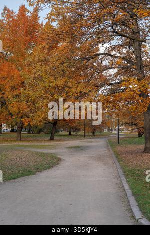 A vertical shot of a walkway in a park covered with snow during winter ...