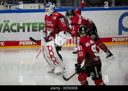 Janne Juvonen (Cologne Sharks, goalkeeper, #30); PENNY DEL 1; Cologne ...