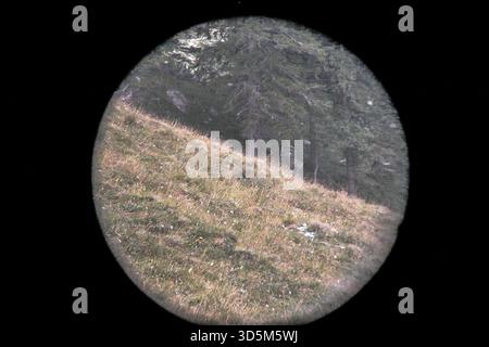 observation with a telescope or field glasses for seeing distant ...