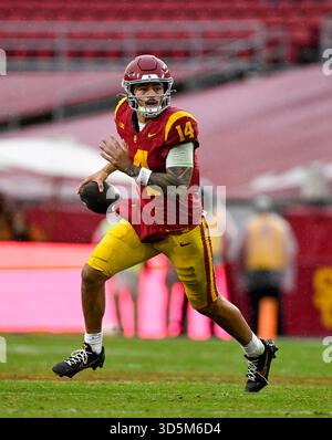 14 November 2025 - Los Angeles, California - Cody Renee Cameron. AFM ...