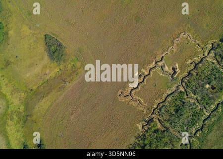 An aerial photograph showing a map of trenches in France during World ...