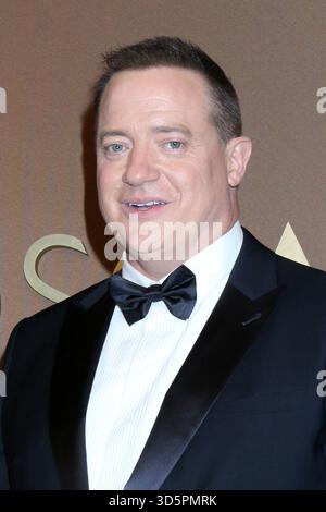 Brendan Fraser at arrivals for 16th Annual Governors Awards - Part 2 ...
