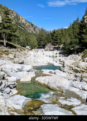 the hiking area of the Restonica Valley with its riverbed with clear ...