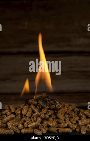 biomass as a renewable heating fuel and energy source biomass is an ...