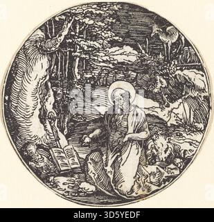Saint Jerome in Penitence, attributed to Hans Springinklee, depicts ...