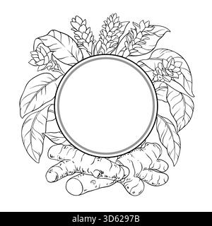 Turmeric Plant with Flowers Outline Frame Stock Vector Image & Art - Alamy