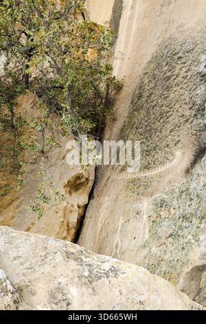 Ancient rock carvings in Gobustan petroglyph reserve, Azerbaijan Stock ...