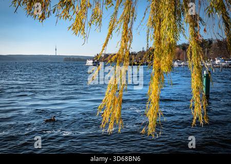 Berlin Spandau OT Kladow am Kladower Hafen an der Havel im Winter - 04. ...