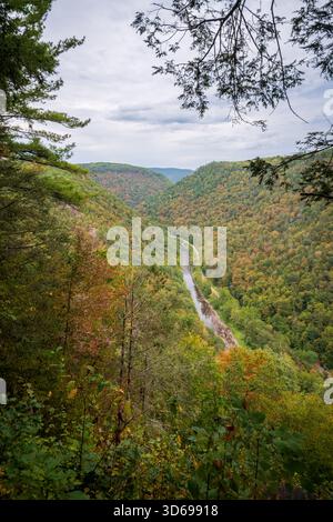 Pine Creek Gorge, also known as the Pennsylvania Grand Canyon Stock ...