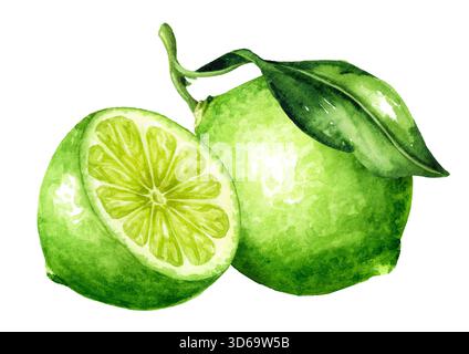 Lemon half watercolor illustration isolated on white background. Hand ...