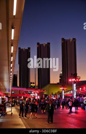 November 22, 2025, Las Vegas, Nevada, USA: Tennis player Taylor Fritz ...