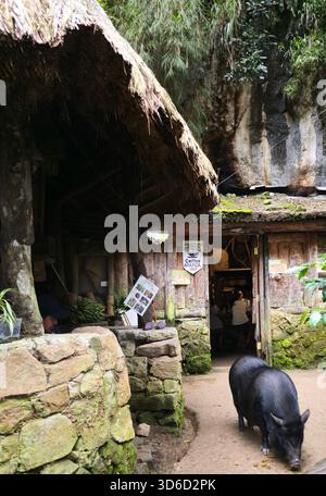 The Echo Valley Farm café in Sagada, Philippines Stock Photo - Alamy