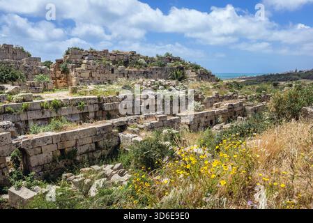 ruined ancient acropolis in selinunte in sicily (italy Stock Photo - Alamy